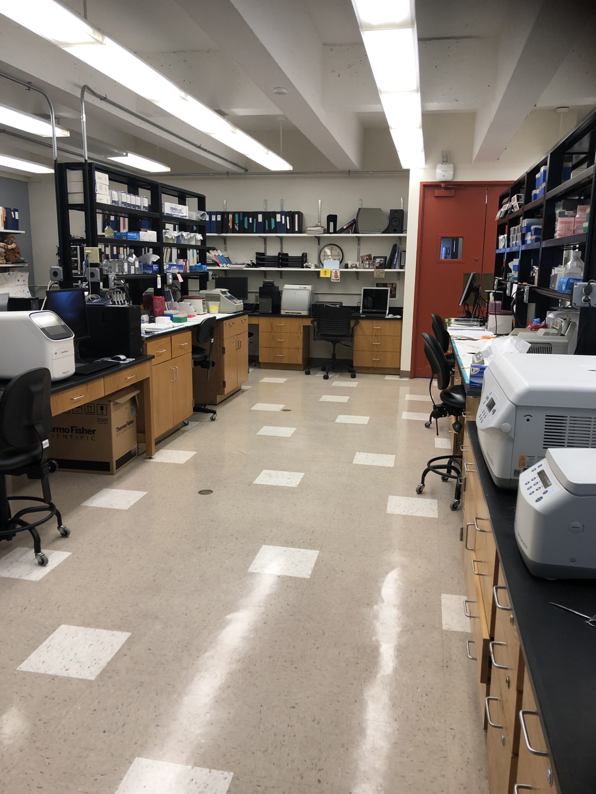 ABOUT – Laboratory of Molecular Anthropology